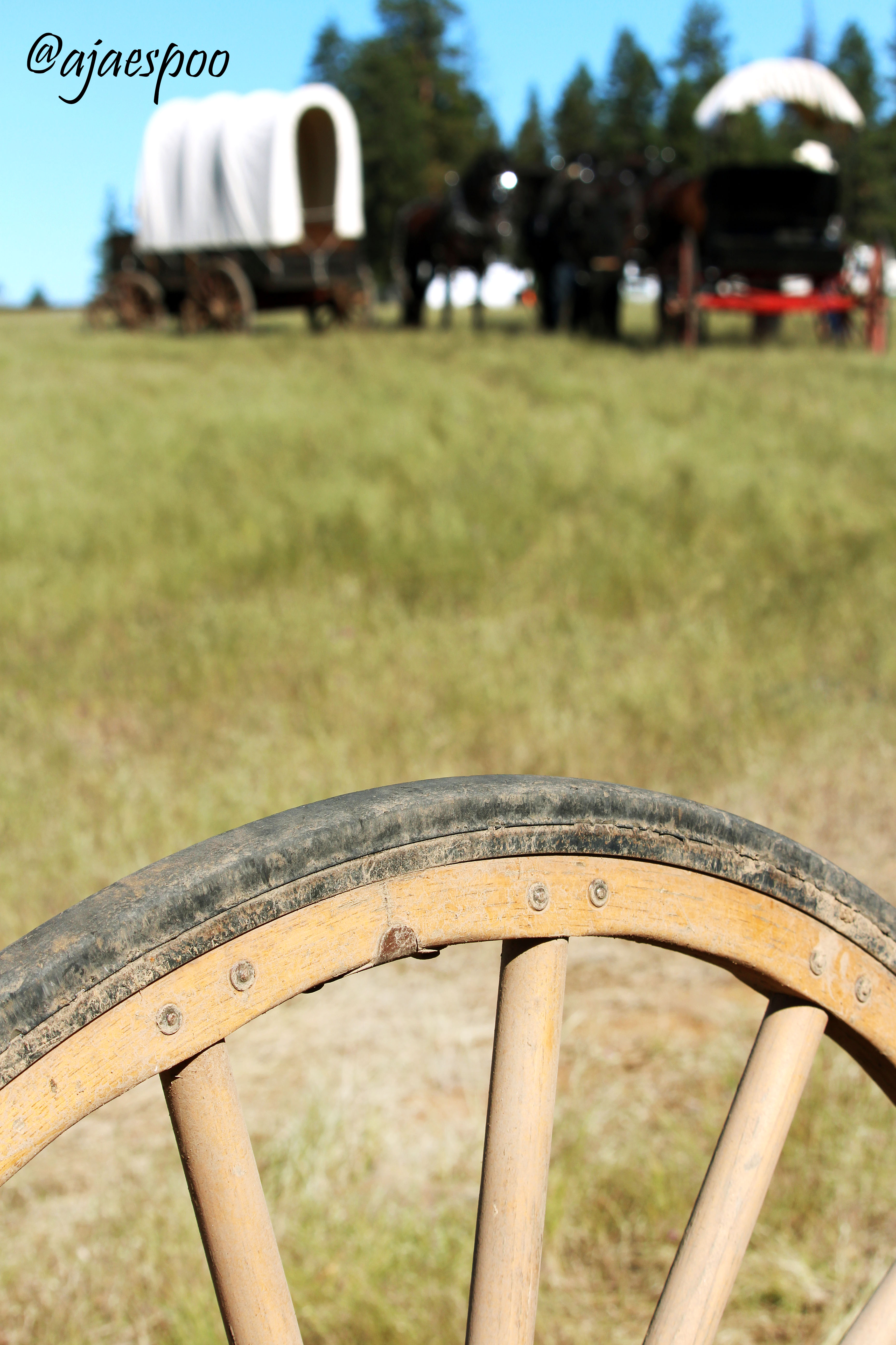 Pendleton Round-Up Wagon Train: “Circling the Wagons” – ajae communications